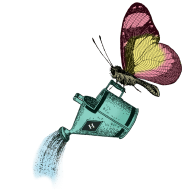 New Hendrick’s Sunspell Gin - Citrus and Spices - Limited Release ...