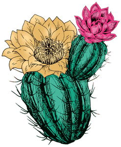 New Hendrick’s Sunspell Gin - Citrus and Spices - Limited Release ...